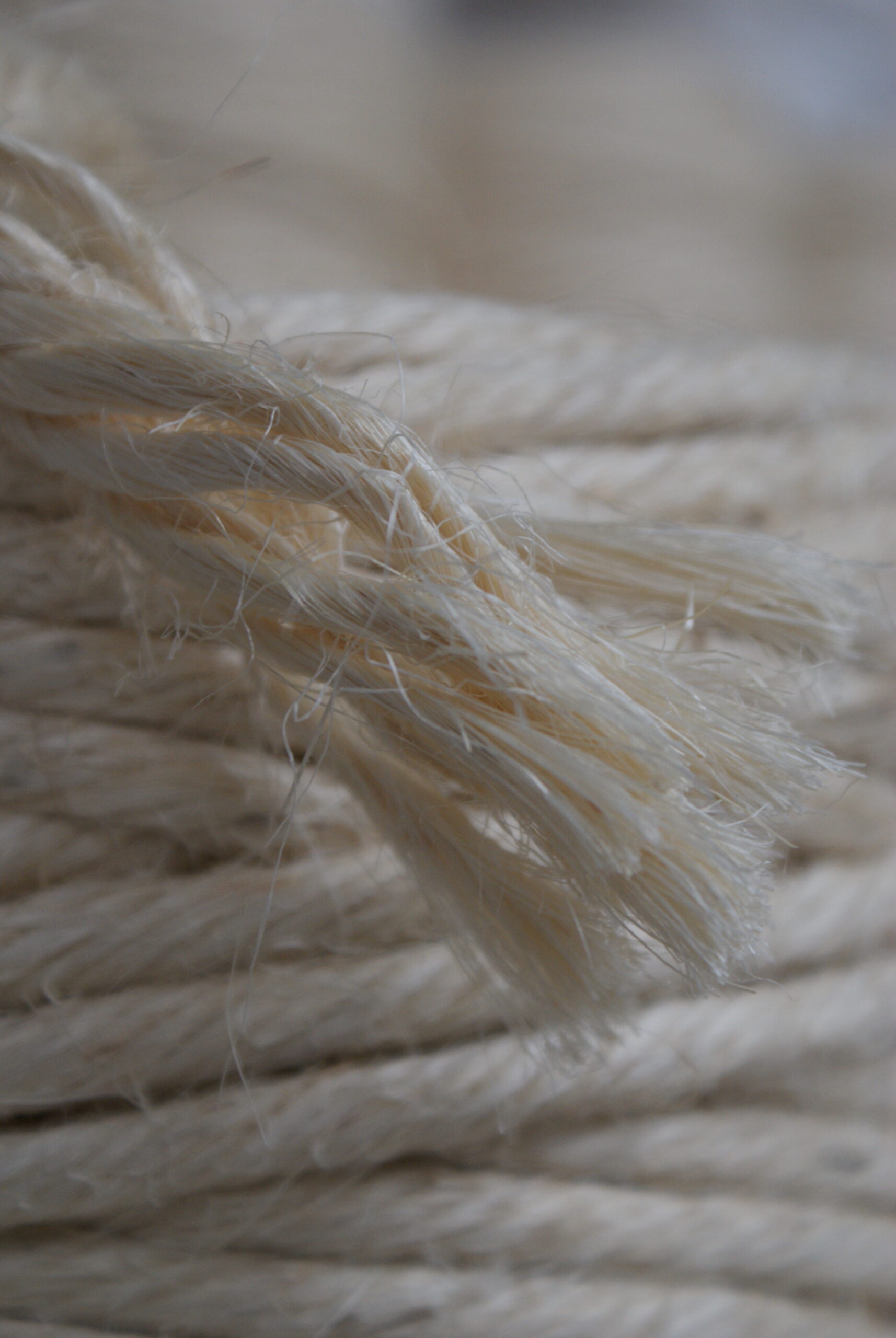 Le toron se scierie : Qu'est-ce que c'est ?- La Croix Noble